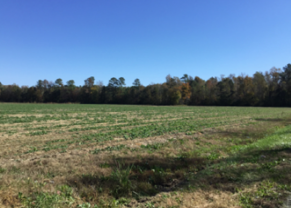 Paternal Bryant Genealogy: From Sir Guy de Brienne to Cordis Bryant ...